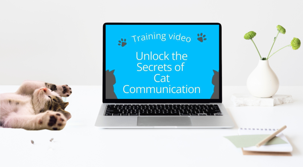 PURRR Cat College - PUUR Katten